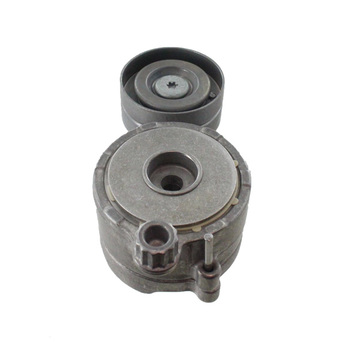 6422001970 - Tensioner lever, belt tensioner, tensioner pulley, v ...